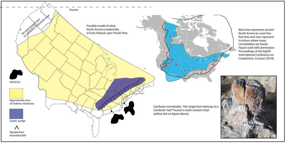 Rethinking the Pre-Flood/Flood Boundary • New Creation Blog