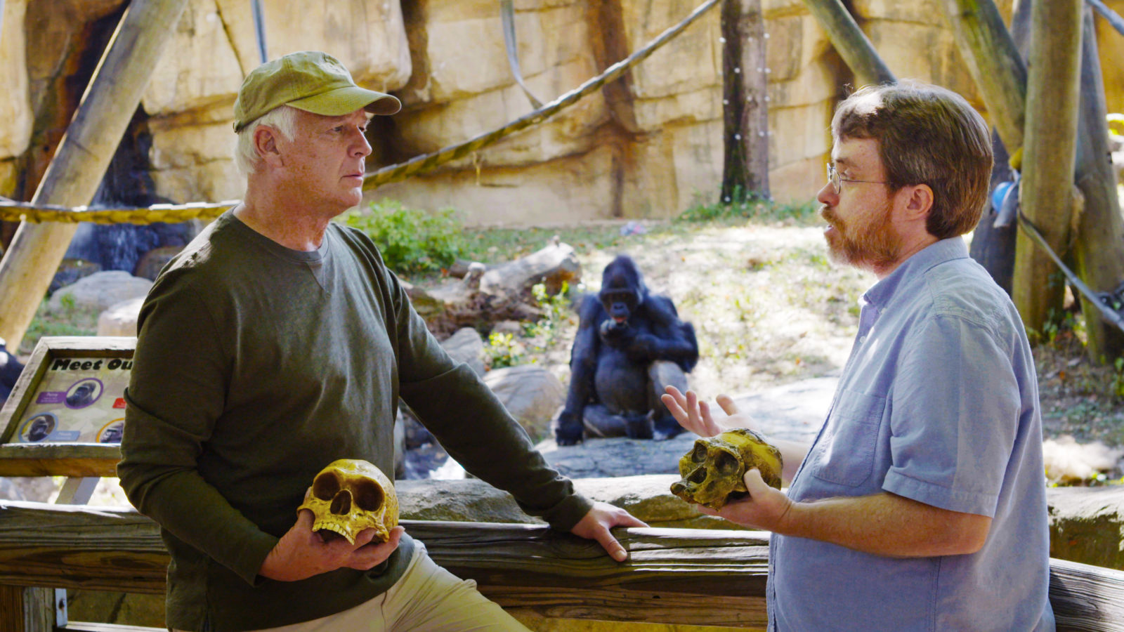 Hard Science • New Creation Blog