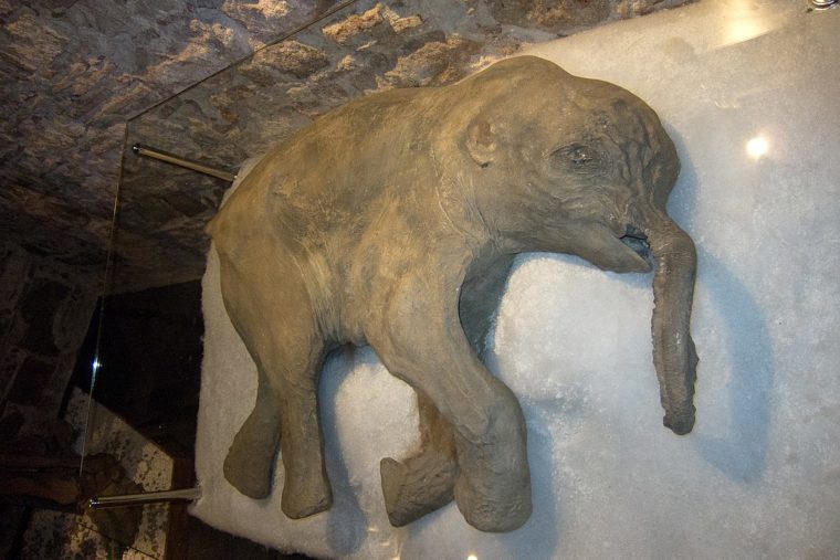 How Do Creationists Explain the Ice Age? • New Creation Blog