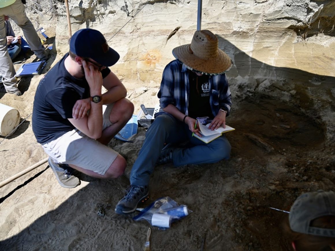 My First Dino Dig • New Creation Blog