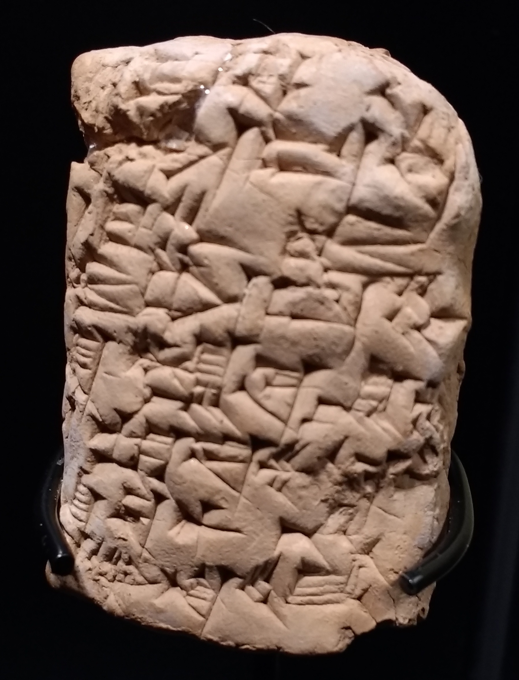 How Did Humans Learn to Speak? • New Creation Blog