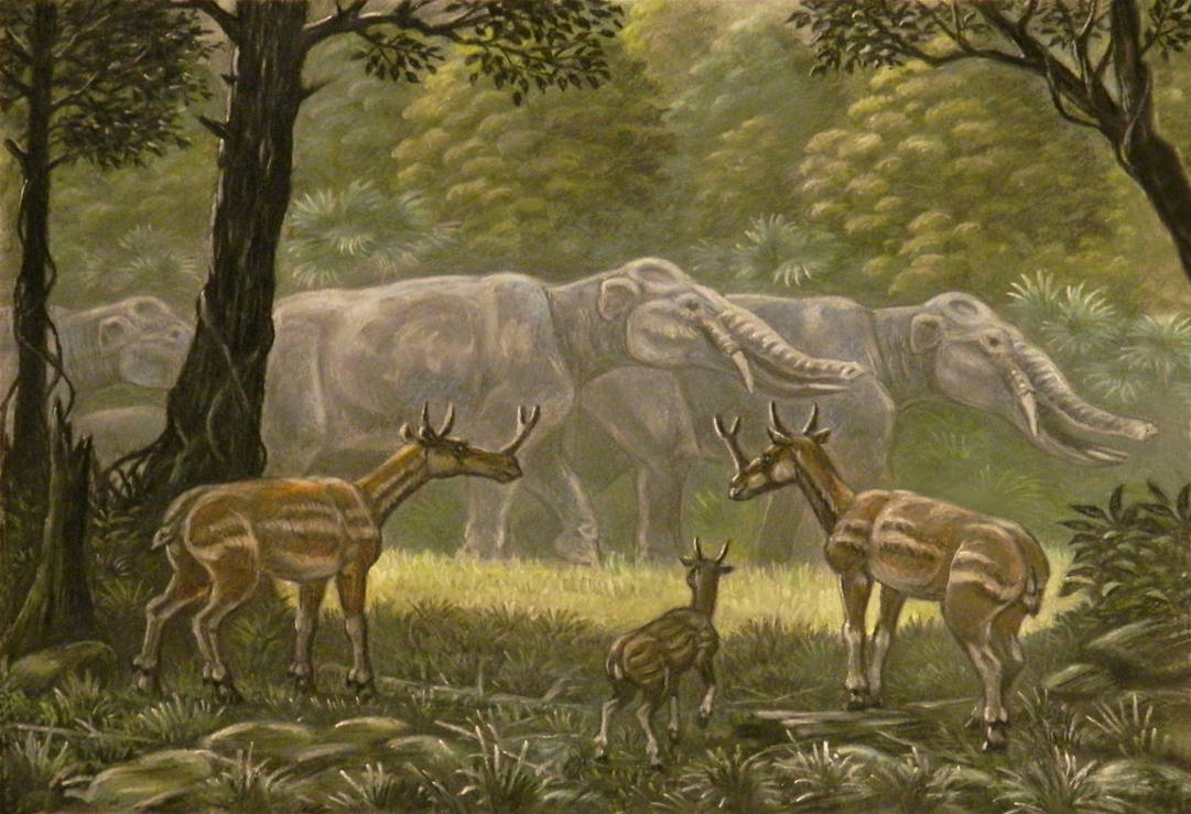 A Safari Through the Pre-Flood World • New Creation Blog