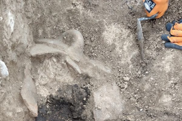How Does an Archaeological Dig Work? • New Creation Blog
