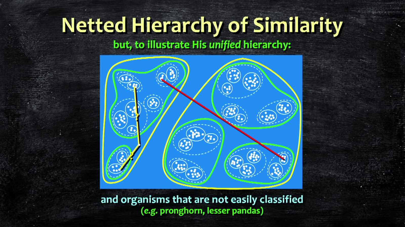 Netted Hierarchy of Biological Similarity • New Creation Blog