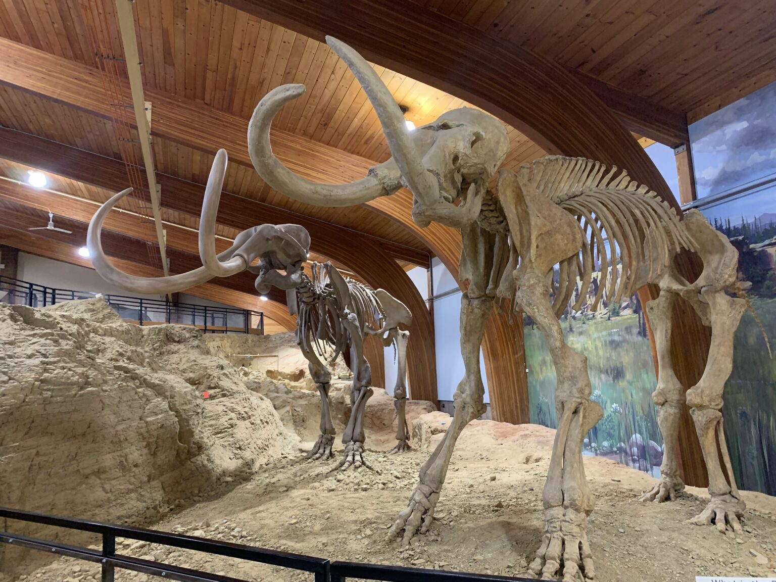 New Creation Blog • Creation Science from Creation Scientists