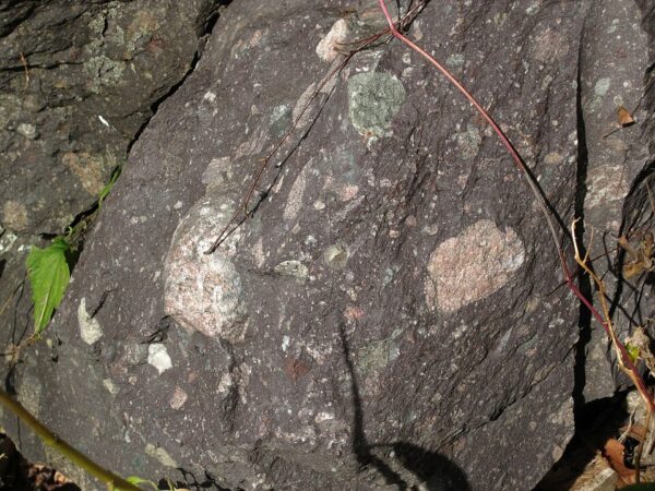 Did Pangaea Really Exist? • New Creation Blog