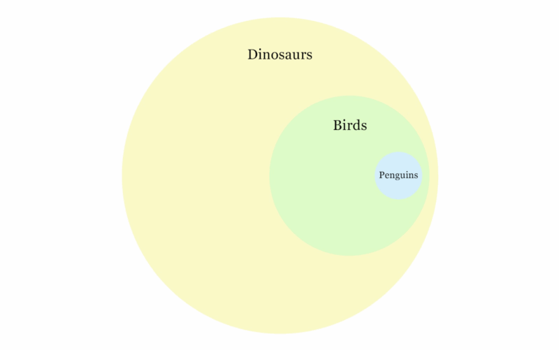 Created Kinds 101: Baraminology Made Simple • New Creation Blog