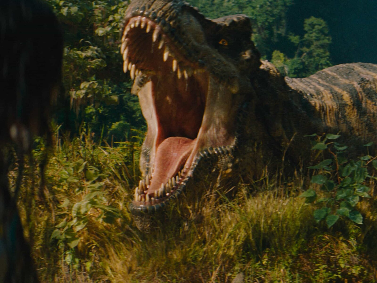 Did Dinosaurs Ever Live with Humans? • New Creation Blog