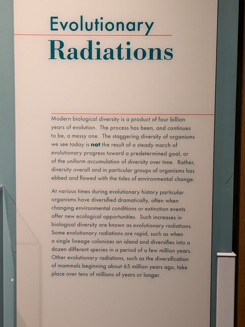 The Case for Rapid Speciation • New Creation Blog