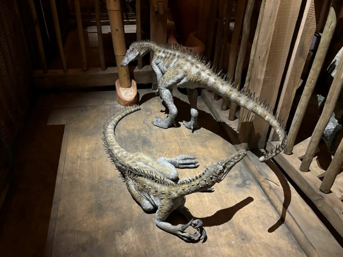 Were There Dinosaurs on Noah's Ark? • New Creation Blog